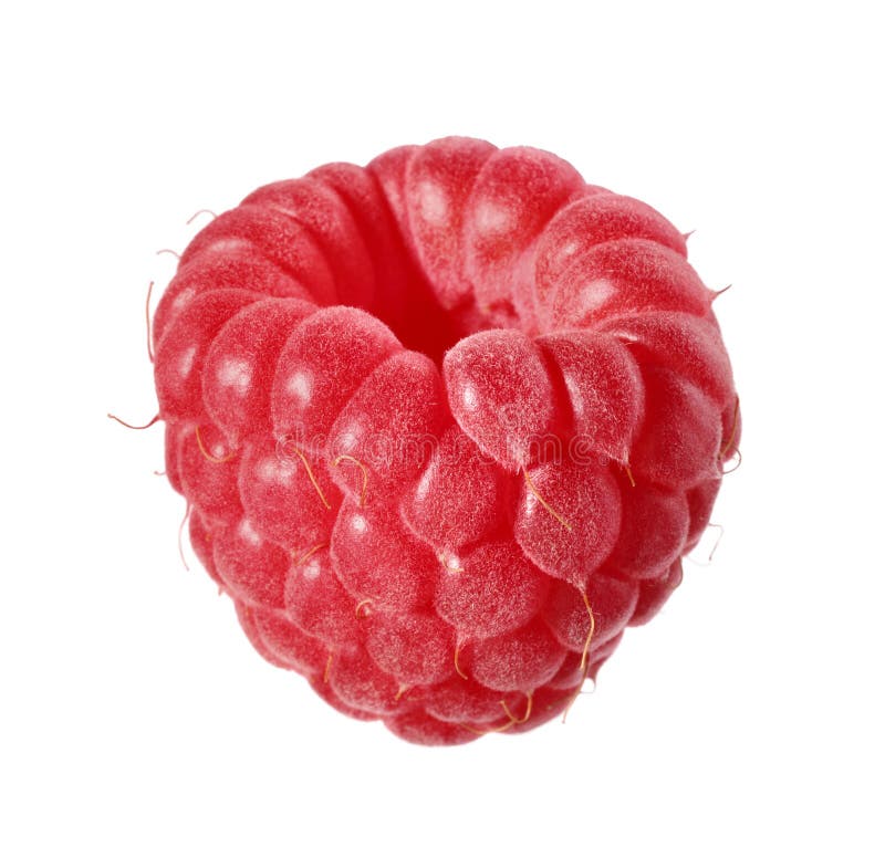 One Tasty Ripe Raspberry Isolated on White Stock Image - Image of tasty ...