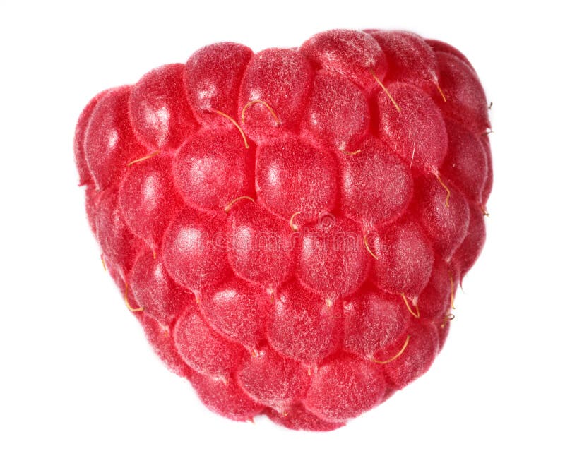 One Tasty Ripe Raspberry Isolated on White Stock Photo - Image of ...