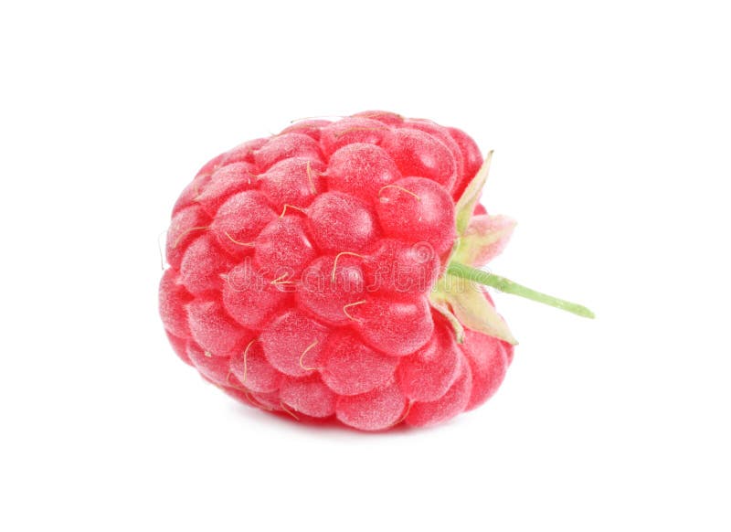 One Tasty Ripe Raspberry Isolated on White Stock Image - Image of ...