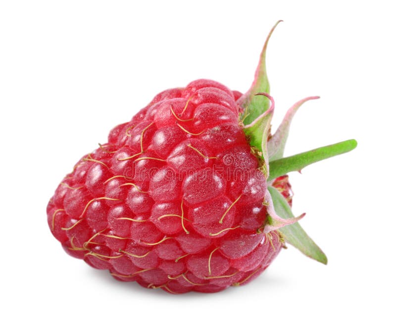 One Tasty Ripe Raspberry Isolated on White Stock Image - Image of leaf ...