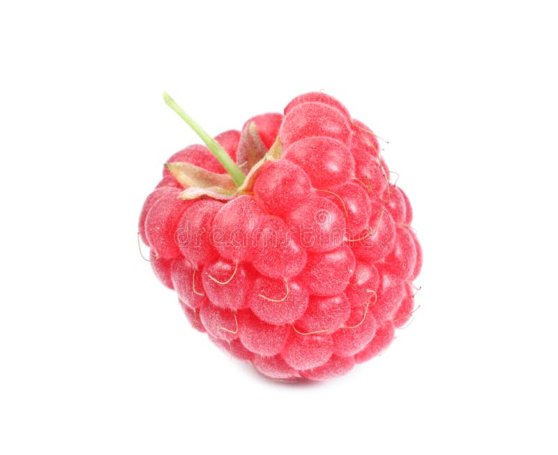 One Tasty Ripe Raspberry Isolated on White Stock Photo - Image of ...