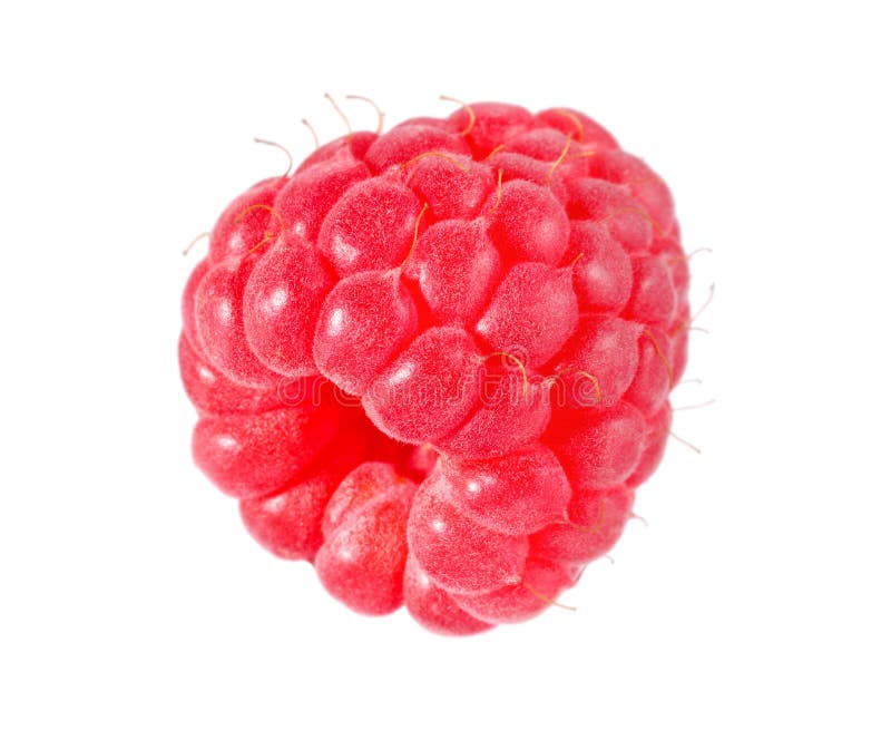 One Tasty Ripe Raspberry Isolated on White Stock Photo - Image of juicy ...