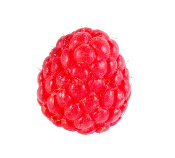 One Tasty Ripe Raspberry Isolated on White Stock Photo - Image of ...