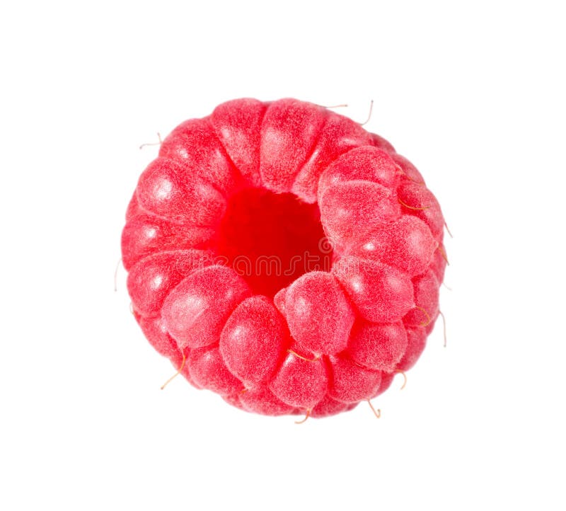 One Tasty Ripe Raspberry Isolated on White Stock Image - Image of ...