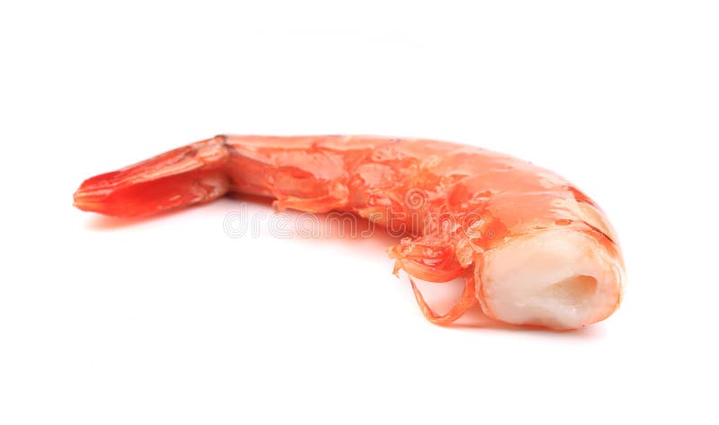 One tasty shrimp. stock image. Image of boiled, ingredient - 39672913