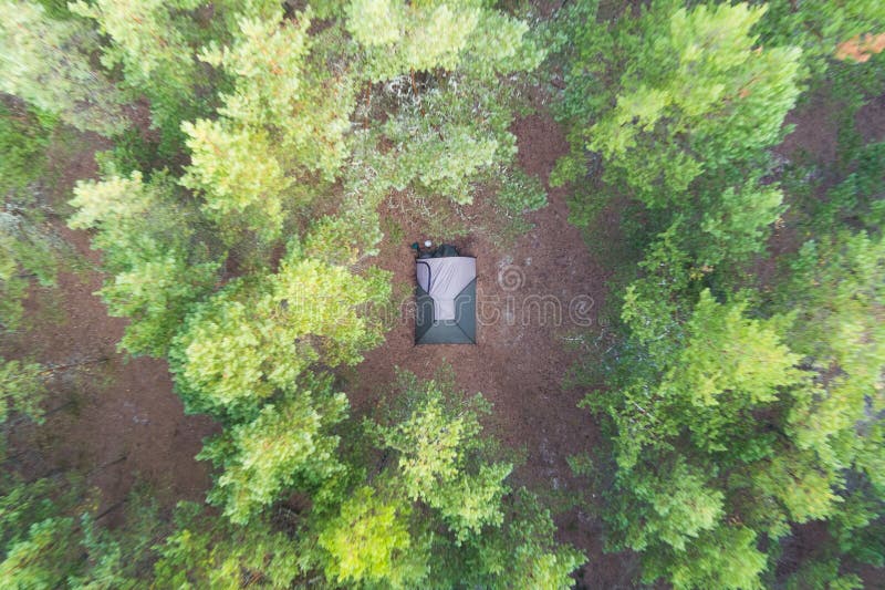 One Tent Stands in a Pine Forest in Summer, this is a View from a Drone ...