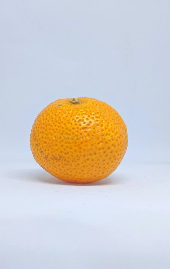 Orange fruit single stock photo. Image of fruit, fresh - 239943094