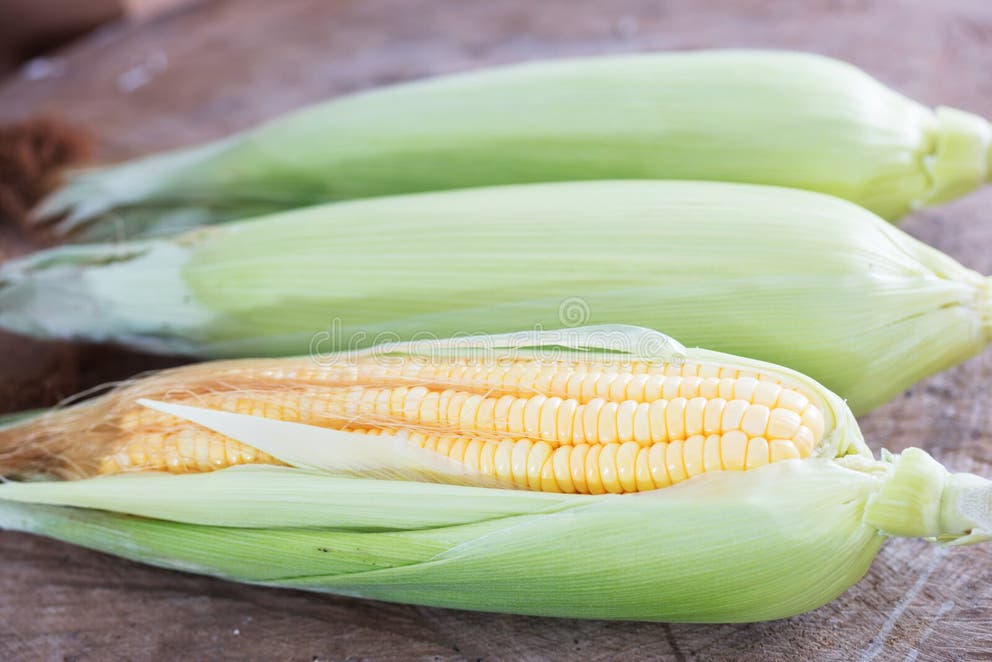 One of the Three Green Corn Cobs Peeled Off the Partial Outer Skin ...