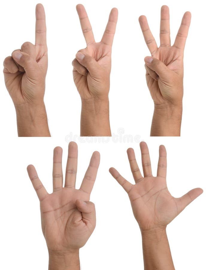 One to Five stock image. Image of hand, four, isolated - 26268381