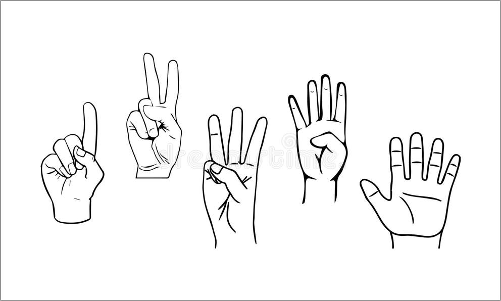 One to five finger design stock illustration. Illustration of human ...