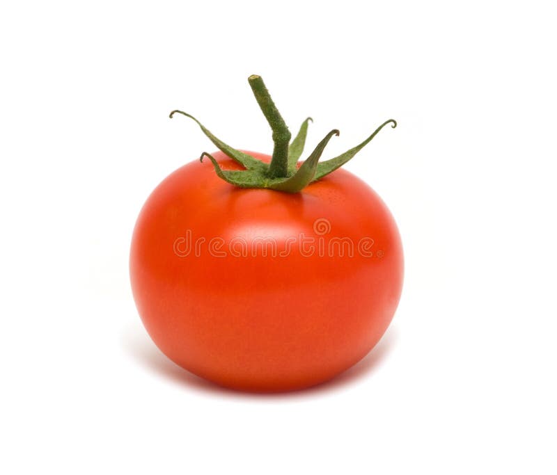 One Tomato stock photo. Image of fresh, sauce, juicy, healthy - 1008220