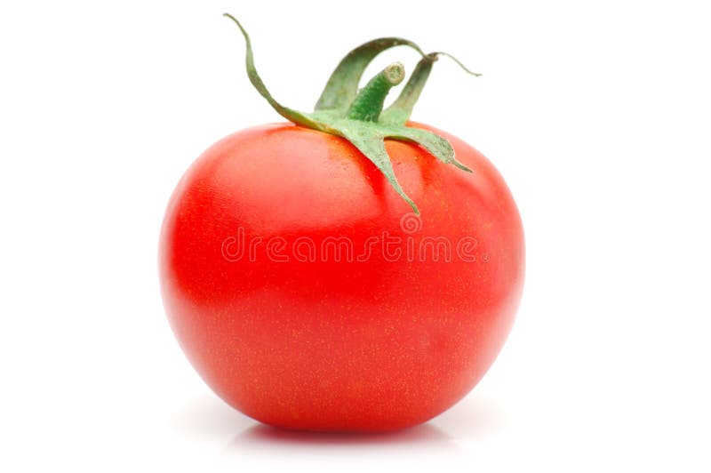 One tomato stock photo. Image of cook, isolated, green - 14450832
