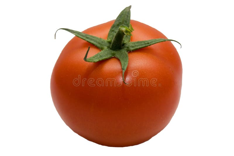 One Tomato stock image. Image of tasty, vegetables, food - 15777213
