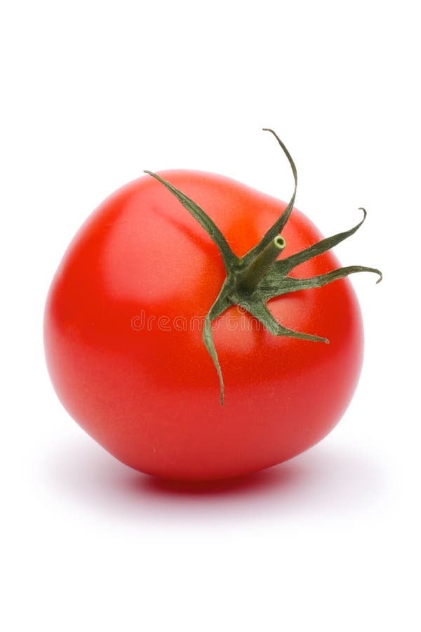 Tomato stock image. Image of green, vegetable, isolated - 25211299