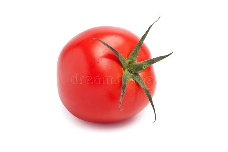 Tomato stock photo. Image of isolated, fresh, ingredients - 58600