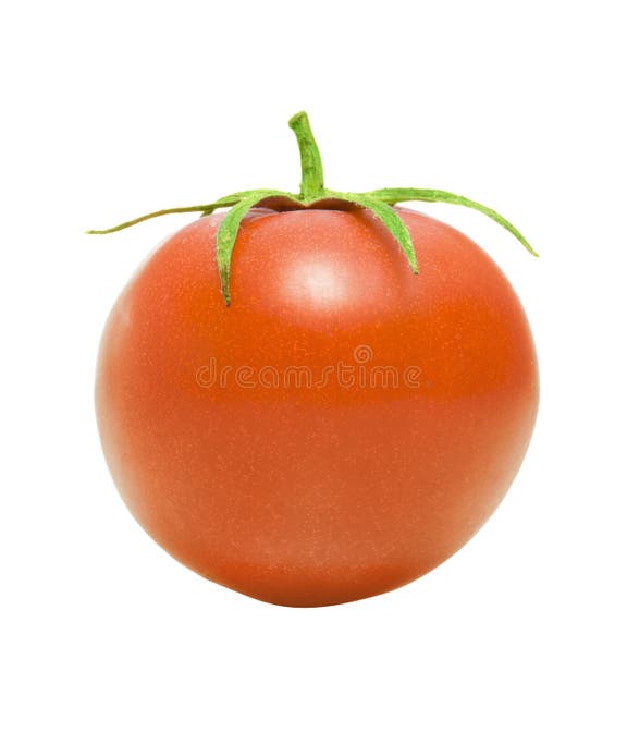 One Tomato stock photo. Image of delight, macro, culinary - 18271170