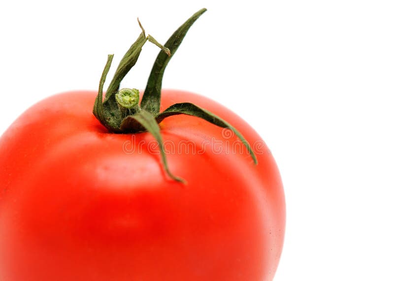 One tomato stock image. Image of stem, group, healthy - 22366051