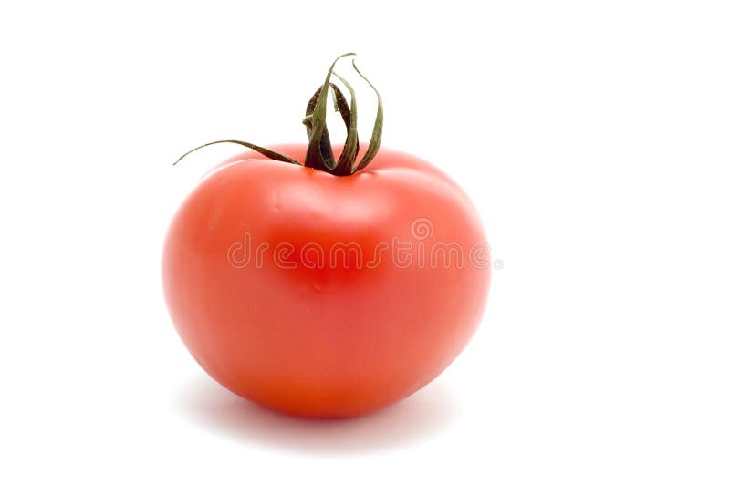 One Tomato stock photo. Image of spring, salad, healthy - 3338688