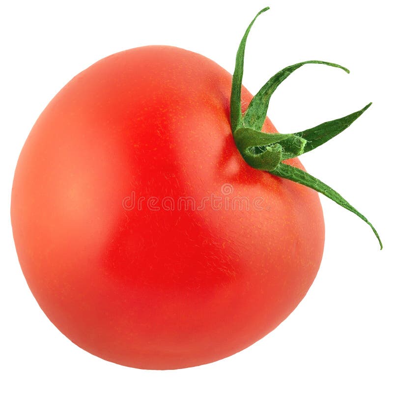 One Tomato Isolated on White Backgdound Stock Image - Image of diet ...