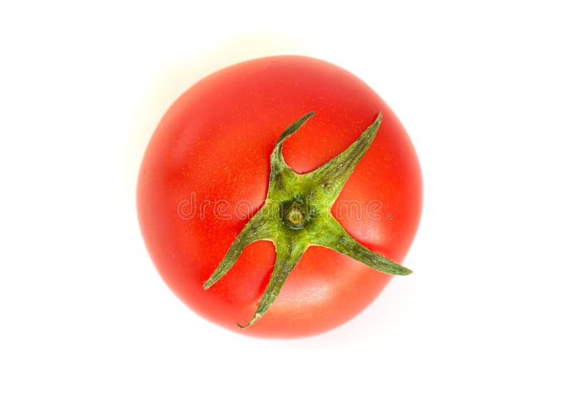 One Tomato Isolated in White Stock Photo - Image of healthy, meal: 54360106