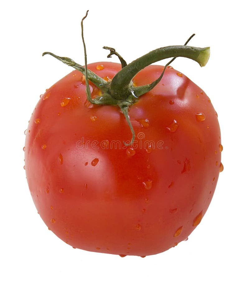 One Tomato on a White Background Stock Image - Image of organic, health ...