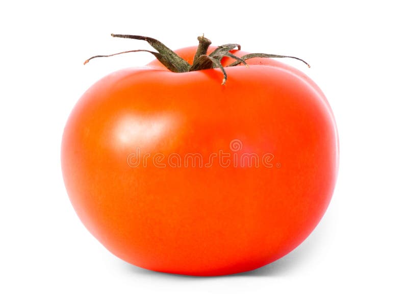 One tomato stock image. Image of juicy, freshness, tomato - 32264393