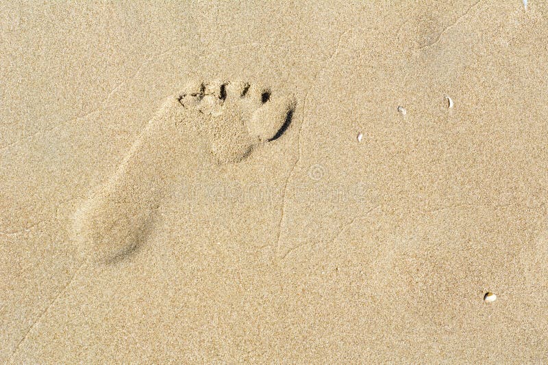 Trace in the sand stock photo. Image of trace, sand, technology - 144422