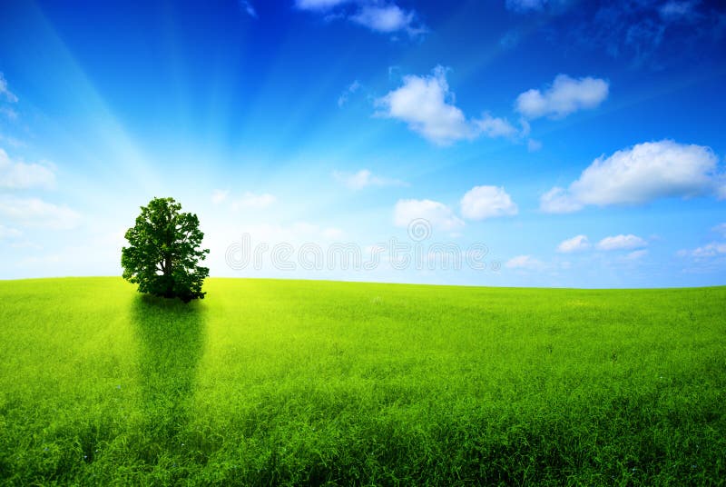 Spring Landscape, Green Tree Stock Image - Image of nature, cloud: 2400831