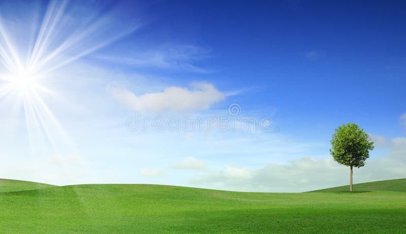 Green field and sky stock photo. Image of pasture, nature - 15075818