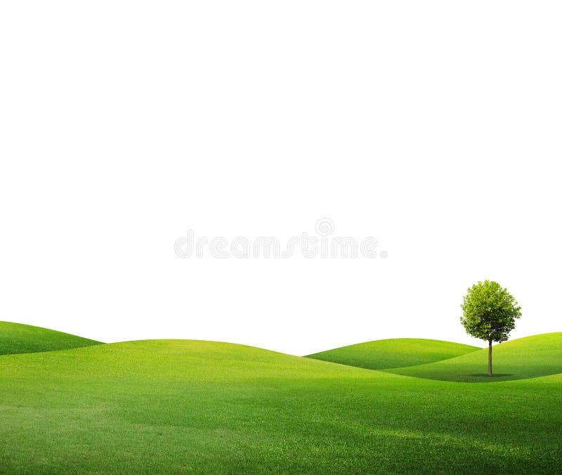 Green Field with a Big Tree and Green Leaves Stock Image - Image of ...