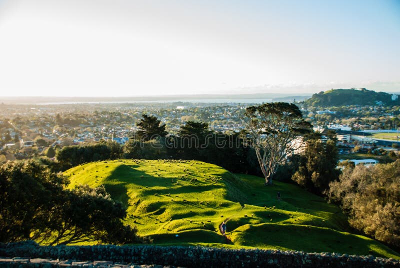 One Tree Hill domain stock image. Image of glare, spring - 54977547