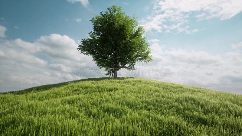 One Tree Hill Nature Landscape View Green Grass 3d Stock Illustration ...