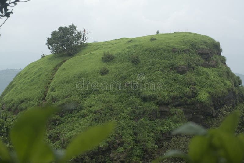 One Tree, Hill Point, Matheran, Maharashtra, India, Asia Stock Image ...