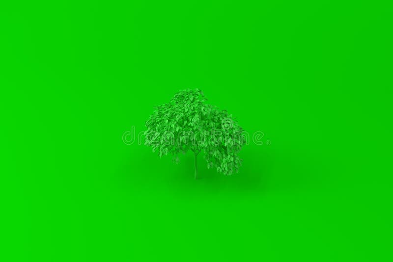 One Tree Isolated Over a Green Background. Minimalist Concept Stock ...