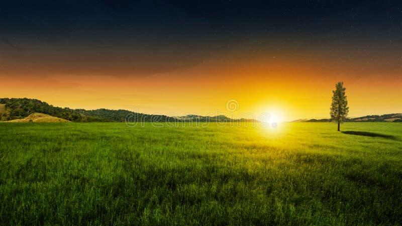 5,136 Meadow Sunset One Tree Stock Photos - Free & Royalty-Free Stock ...