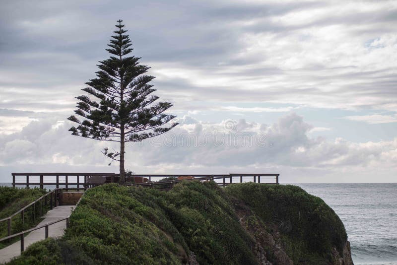 One Tree Point Australia Stock Photos - Free & Royalty-Free Stock ...