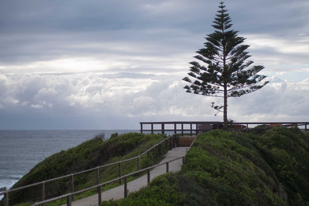 One Tree Point stock photo. Image of australia, point - 134976440