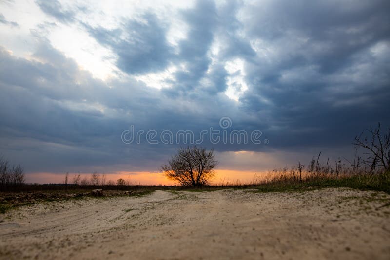 Lone Tree Silhouette Picture. Image: 6613515
