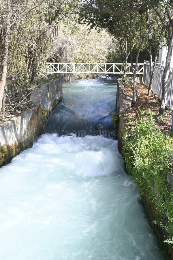 One of the Tributaries of Jordan is a Stream Dan Stock Photo - Image of ...