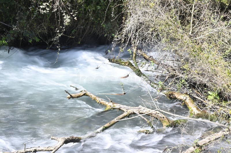 One of the Tributaries of Jordan is a Stream Dan Stock Photo - Image of ...