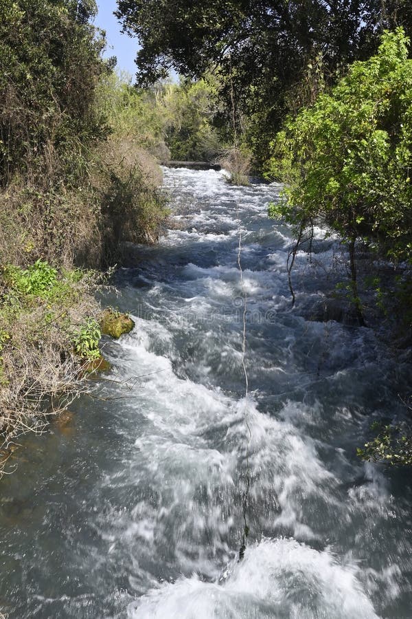 One of the Tributaries of Jordan is a Stream Dan Stock Photo - Image of ...