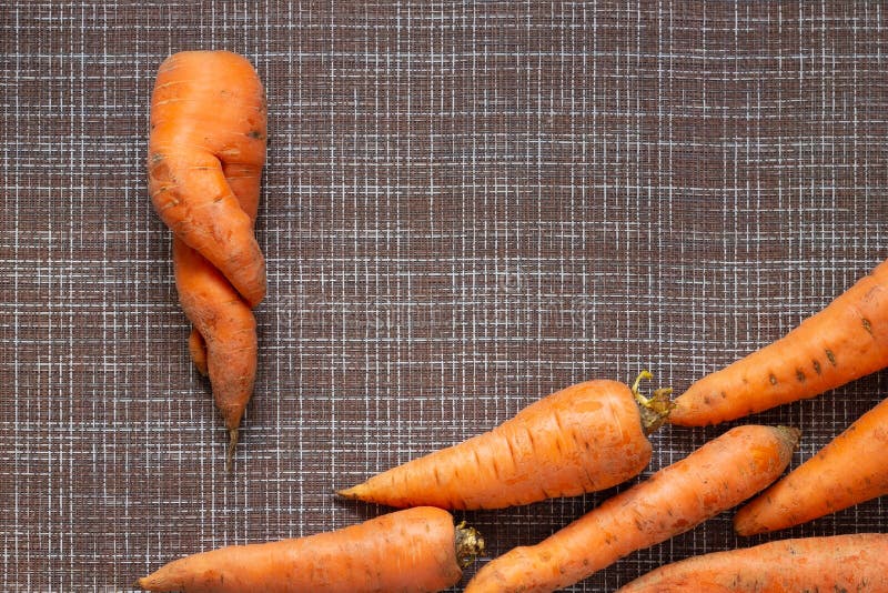 Top View of One Ugly Deformed Twisted Carrot among Normal Vegetables on ...
