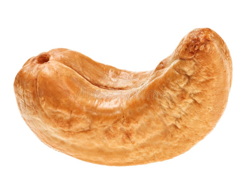 One Unshelled Roasted Cashew Nut on White Stock Image - Image of brown ...