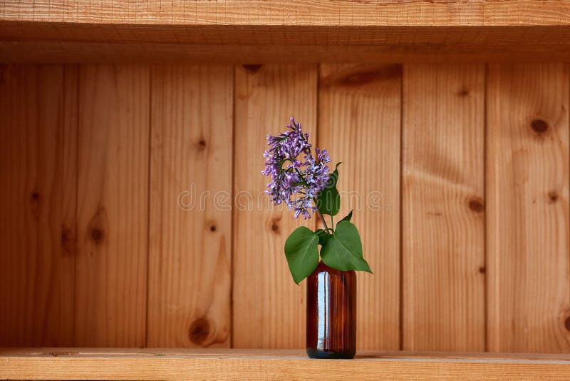 One Vase with Flowers at Wooden Background Stock Image - Image of brown ...