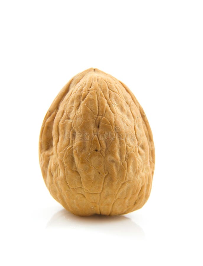 One walnut stock photo. Image of alone, cracked, autumn - 11967658