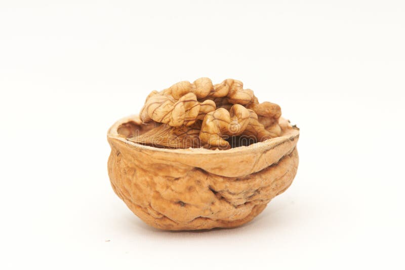 One walnut stock image. Image of walnut, open, white - 12352257