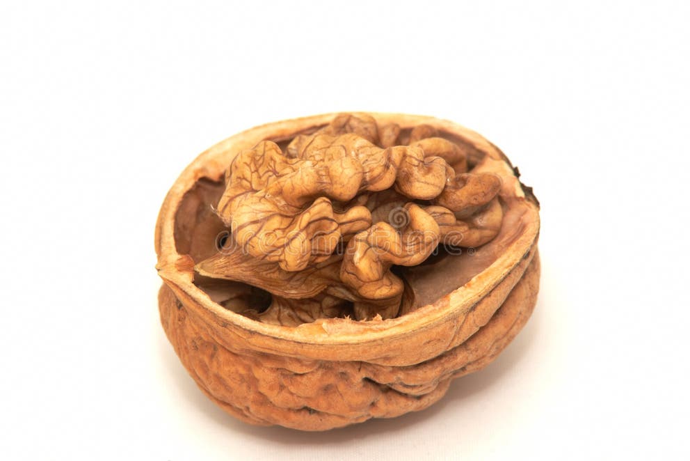 One walnut stock image. Image of isolated, brown, hard - 12352475