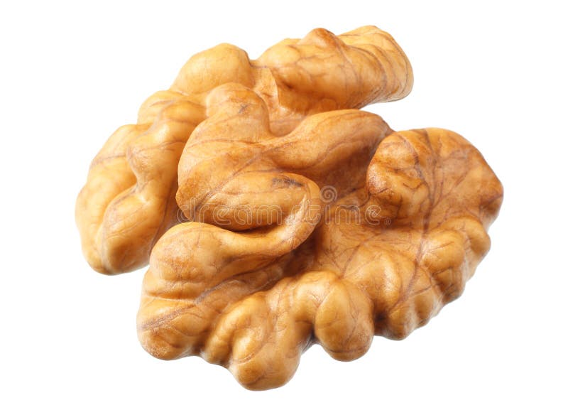 One Walnut Isolated on White Background Top View Stock Image - Image of ...