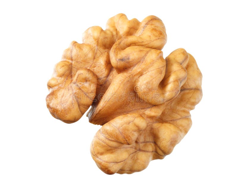 One Walnut Isolated On White Background Top View Stock Image - Image of ...