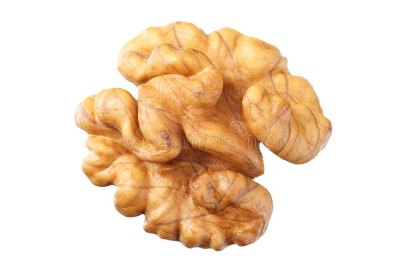 One Walnut Isolated on White Background Top View Stock Image - Image of ...